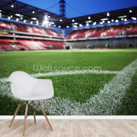 Football Stadium Wall Mural | Wallsauce US