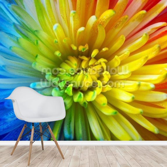 Rainbow Flower Wallpaper Mural | Wallsauce UK