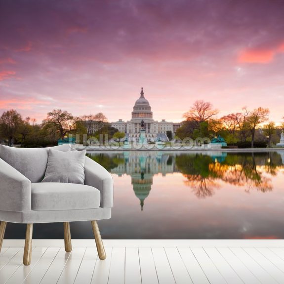 USA Capitol Wallpaper Mural | Wallsauce US