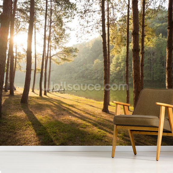 A New Day in the Forest Wall Mural | Wallsauce UK