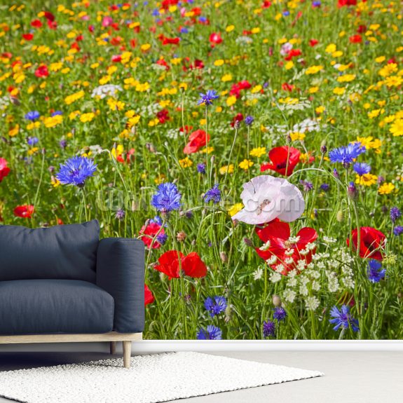 Single White Poppy | Wallsauce AU