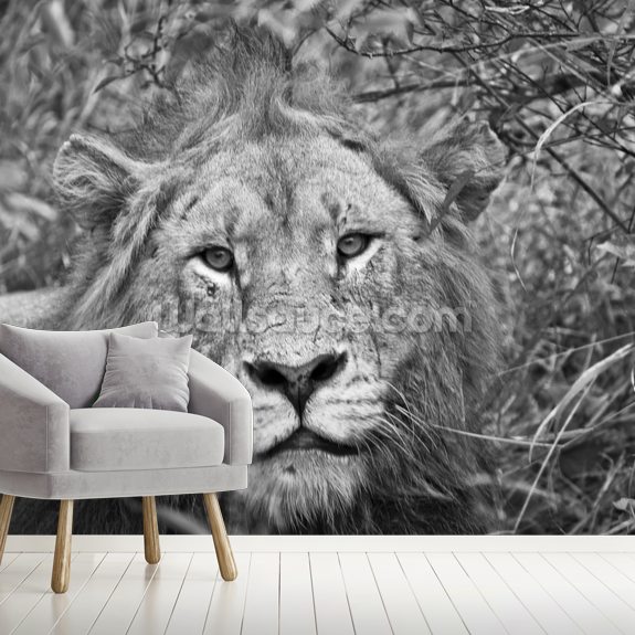 We've been spotted | Wallsauce UK