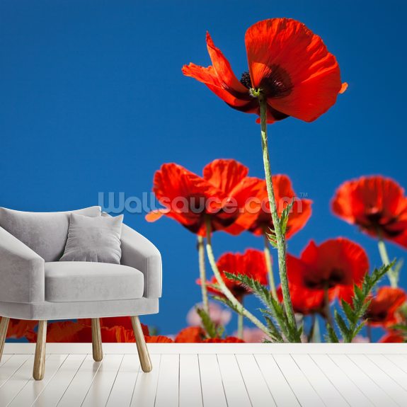 Rode klaprozen van Phil McMennemy Behang Muurschildering | Wallsauce NL