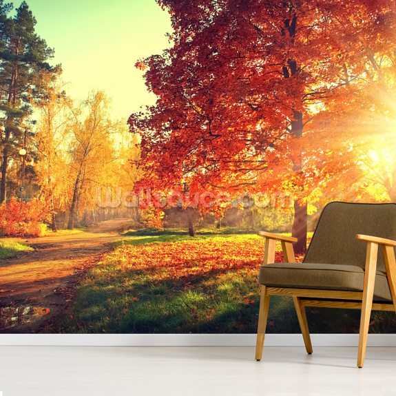 Autumn Scene Wallpaper Mural | Wallsauce UK