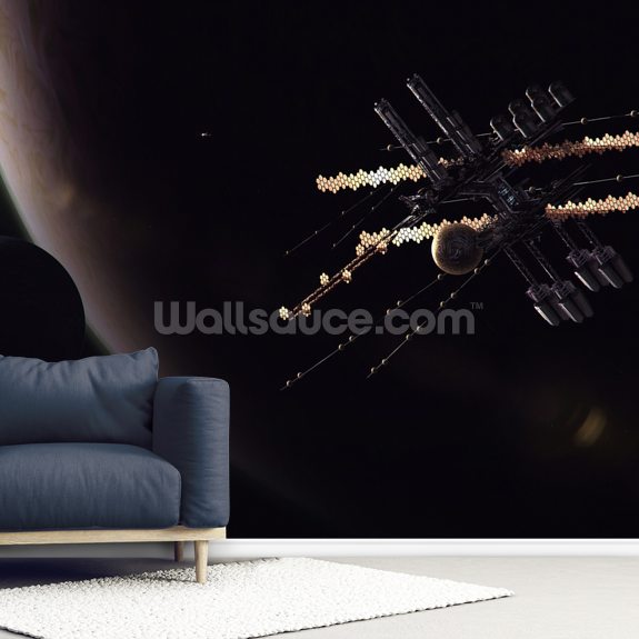 Moon Orbiter Wall Mural | Wallsauce EU