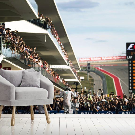Mural de pared Lewis Hamilton USA 2014 | Wallsauce ES
