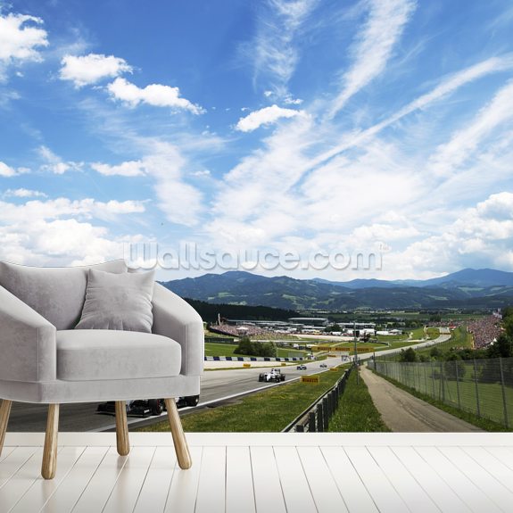 Felipe Massa Austria Grand Prix 2014 Wall Mural | Wallsauce UK