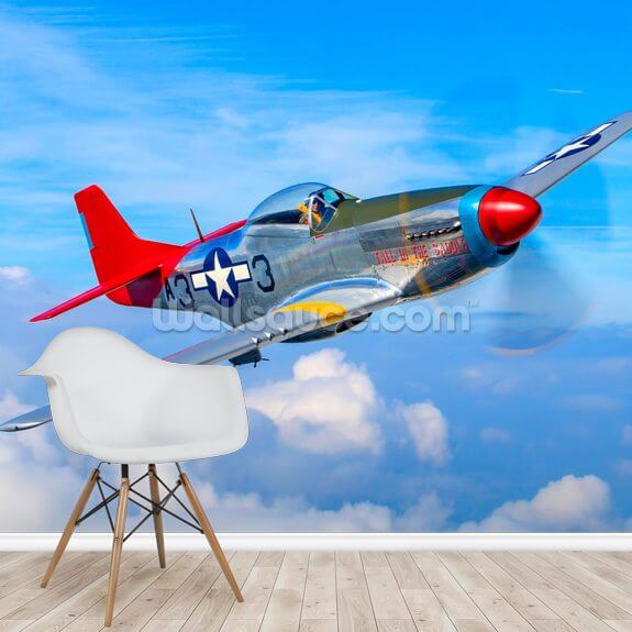 American Mustang above the Clouds Wall Mural | Wallsauce UK