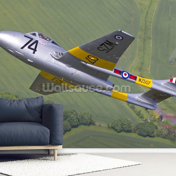 Havilland Vampire Jet Trainer seinämaalaus | Wallsauce FI