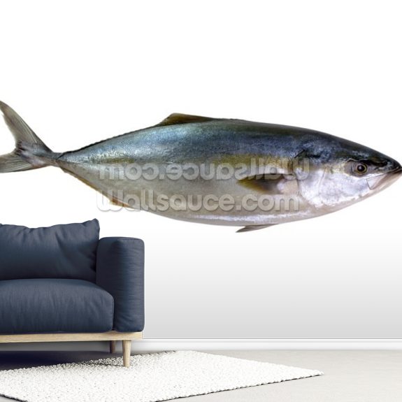 Bluefin tuna is really fresh on a white background Thunnus | Wallsauce UK