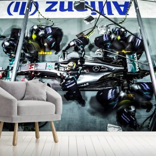 Formula 1 Wallpaper & Wall Murals | Wallsauce UK