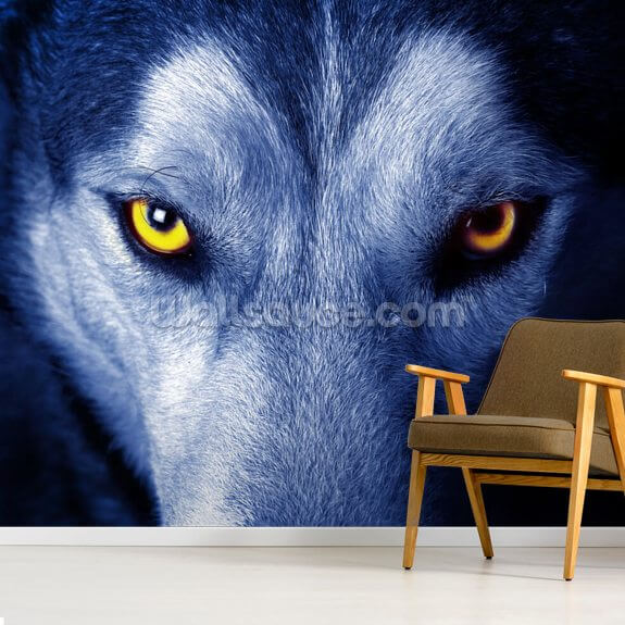 Papel Pintado Lobo Azul | Wallsauce ES