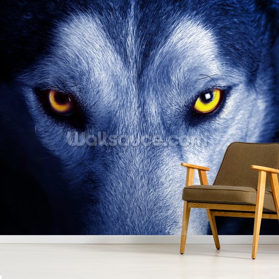 Blue Wolf Wallpaper | Wallsauce UK