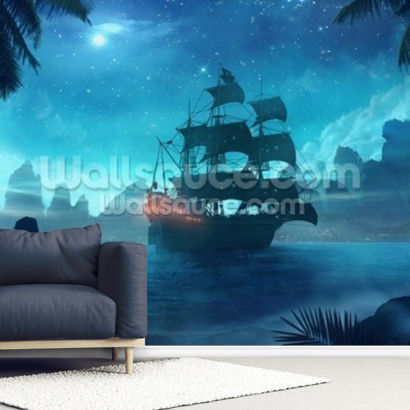 Pirate Ship Under the Stars Wallpaper | Wallsauce US