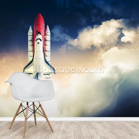 Space Shuttle against Dark Sky Wall Mural | Wallsauce CA