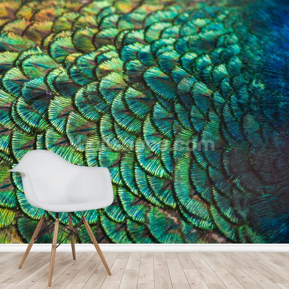 Emerald Feathers Wall Mural | Wallsauce US