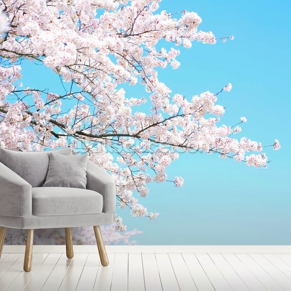Pink Blossom behang | Wallsauce NL