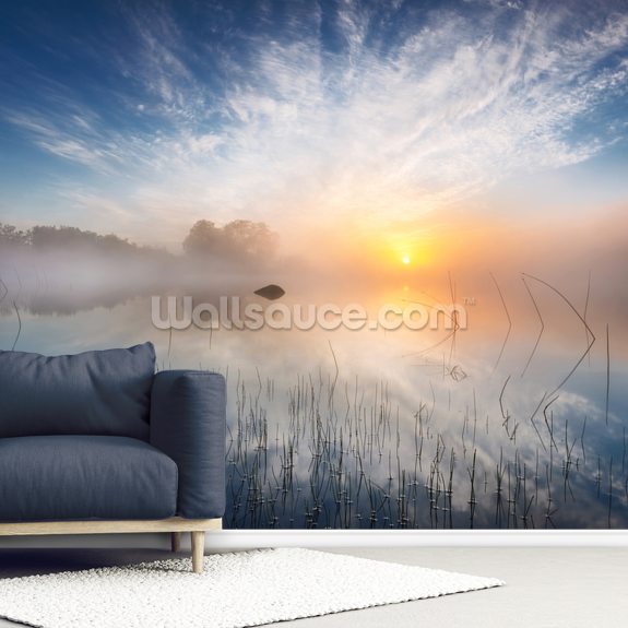 Reflection Wallpaper | Wallsauce US