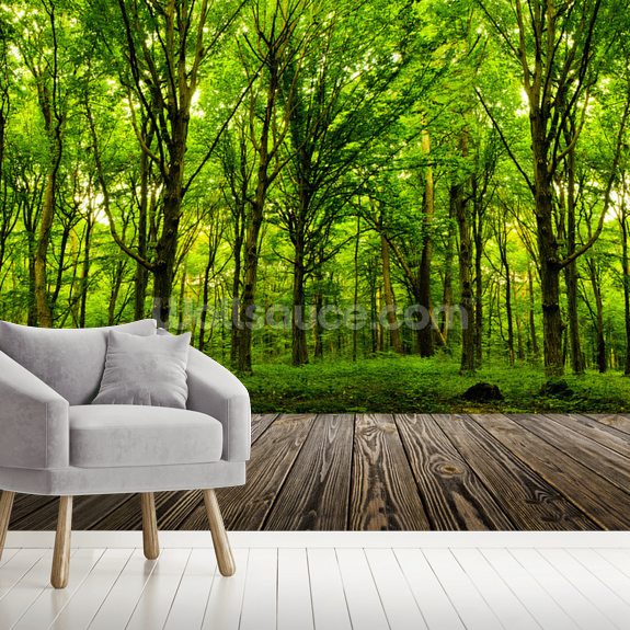 Veranda View Wall Mural | Wallsauce UK