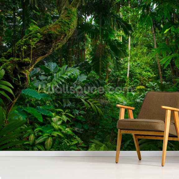 Deep Jungle Wallpaper