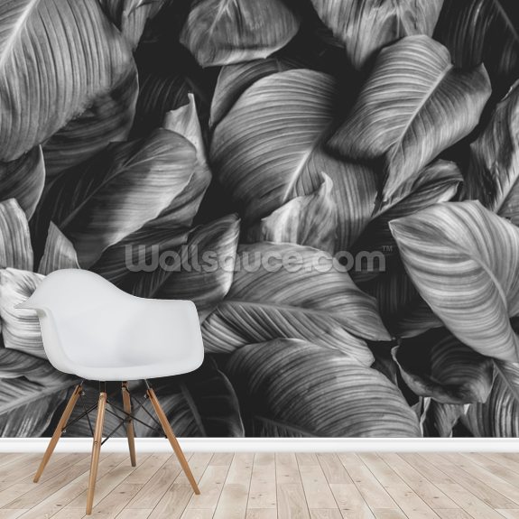 Ash Jungle Wall Mural | Wallsauce UK