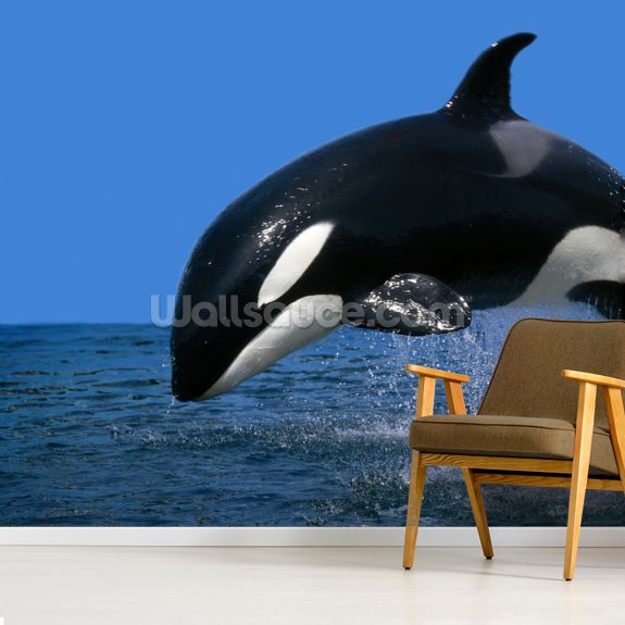 Superbe Murale Orca | Wallsauce FR