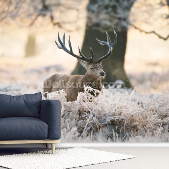 Frosty Stag Wallpaper | Wallsauce UK