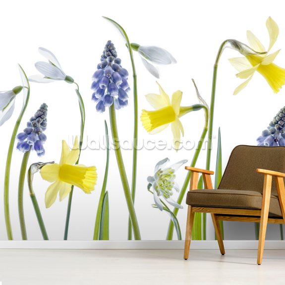 Spring Flowers Wall Mural | Wallsauce UK