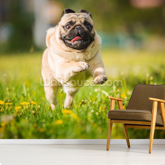 Pug Patrol Wallpaper | Wallsauce US