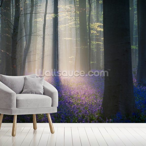 Velvet Light Wall Mural | Wallsauce NZ