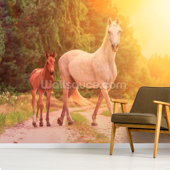 Sunlit Mare and Foal Wallpaper | Wallsauce US