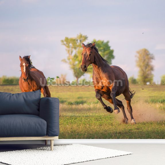 Running Free Wallpaper | Wallsauce CA