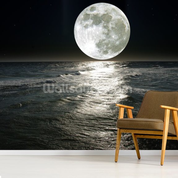 Moon Wall Mural Wallpaper | Wallsauce NZ