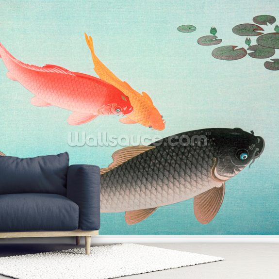 Common and Golden Carp Wall Mural | Wallsauce CA
