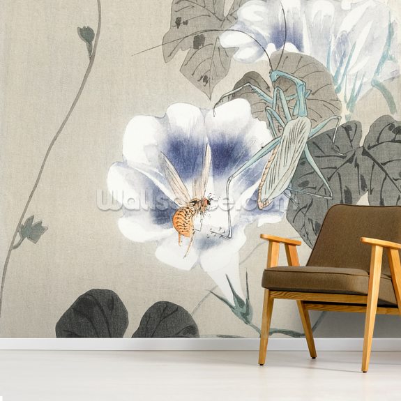 Insects Near Bindweed Wall Mural | Wallsauce AU