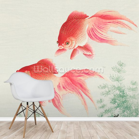 Two Veil Goldfish Wallpaper Mural | Wallsauce AU