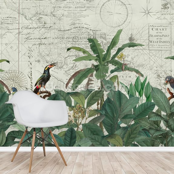 Explore The New World Wall Mural | Wallsauce UK