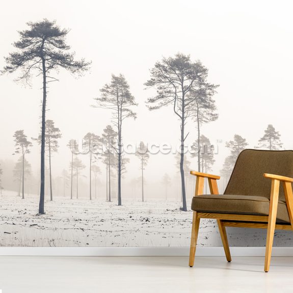 Snow Wallpaper Mural | Wallsauce UK