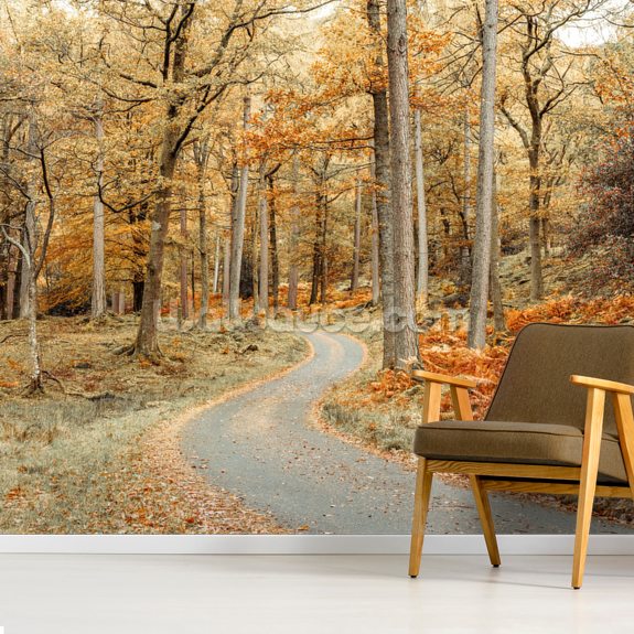 Lake District Path Wallpaper | Wallsauce UK