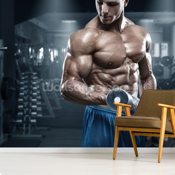 Bodybuilder in the Gym Wall Mural | Wallsauce US